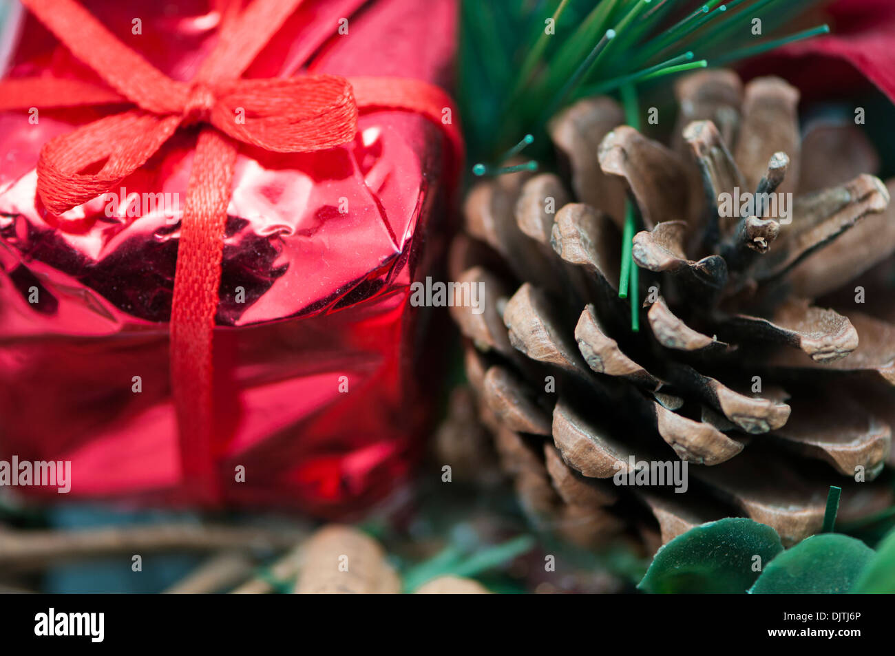 Christmas plants hi-res stock photography and images - Alamy