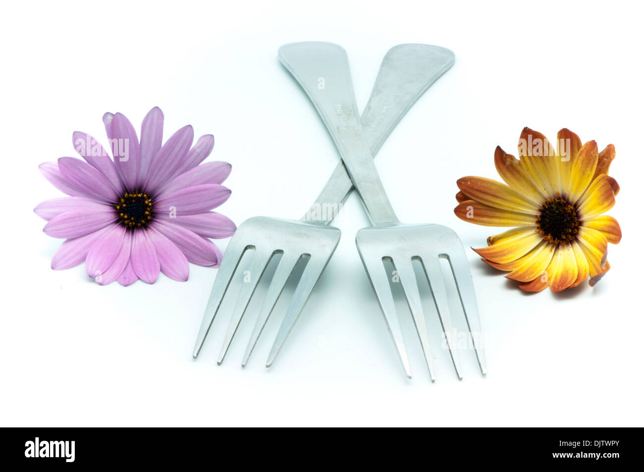 fork with flowers on a white background Stock Photo - Alamy