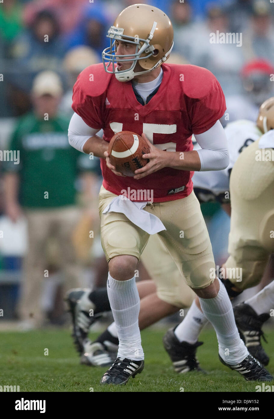 Notre Dame Quarterback Brian Castello (#15) ready to make handoff ...