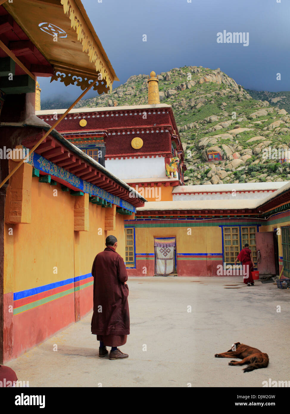 Buddhist monk drepung monastery lhasa hi-res stock photography and ...