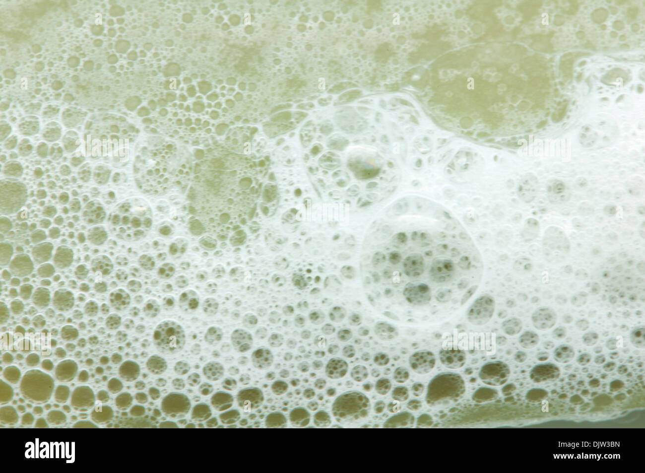 soap foam bubbles for a better cleaning Stock Photo - Alamy
