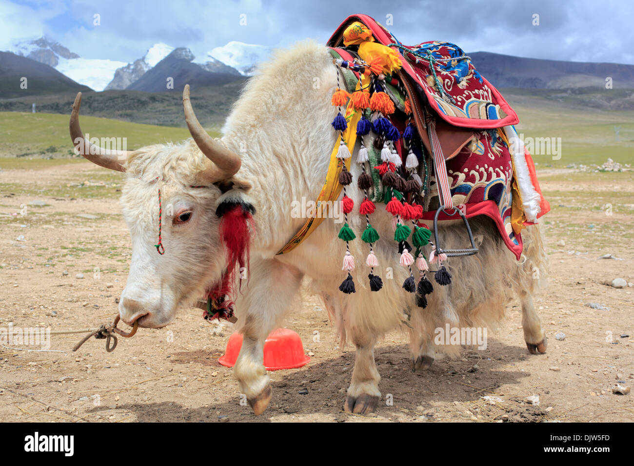 Mountain landscape, Lhasa Prefecture, Tibet, China Stock Photo - Alamy