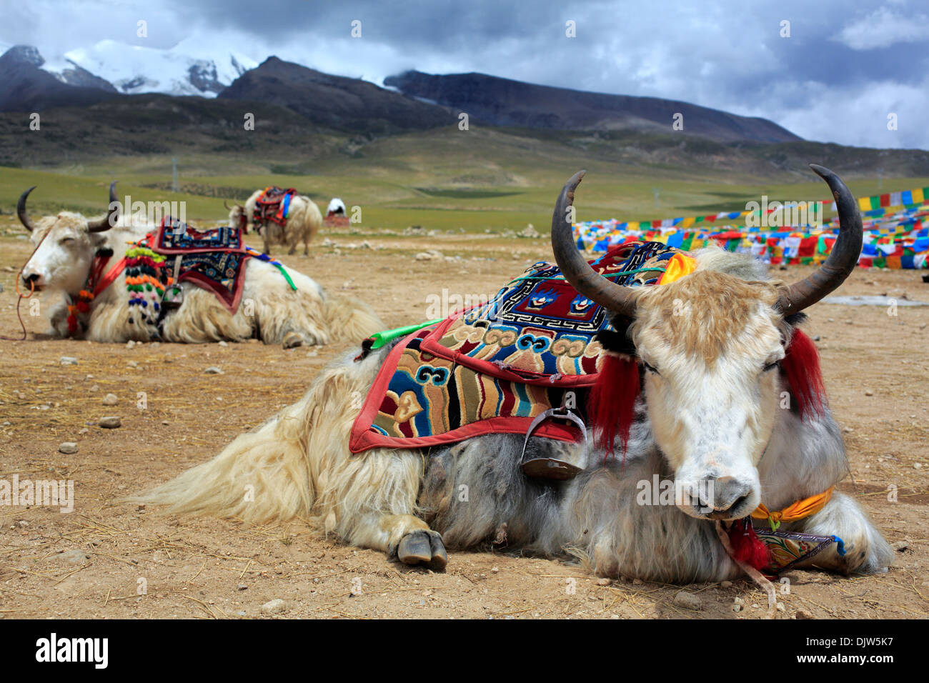 Mountain landscape, Lhasa Prefecture, Tibet, China Stock Photo - Alamy