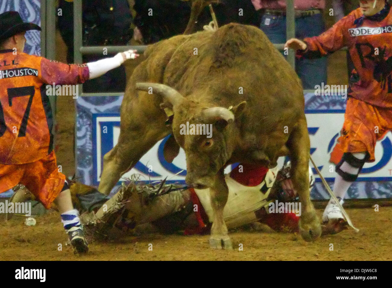 Trampled On High Resolution Stock Photography and Images - Alamy