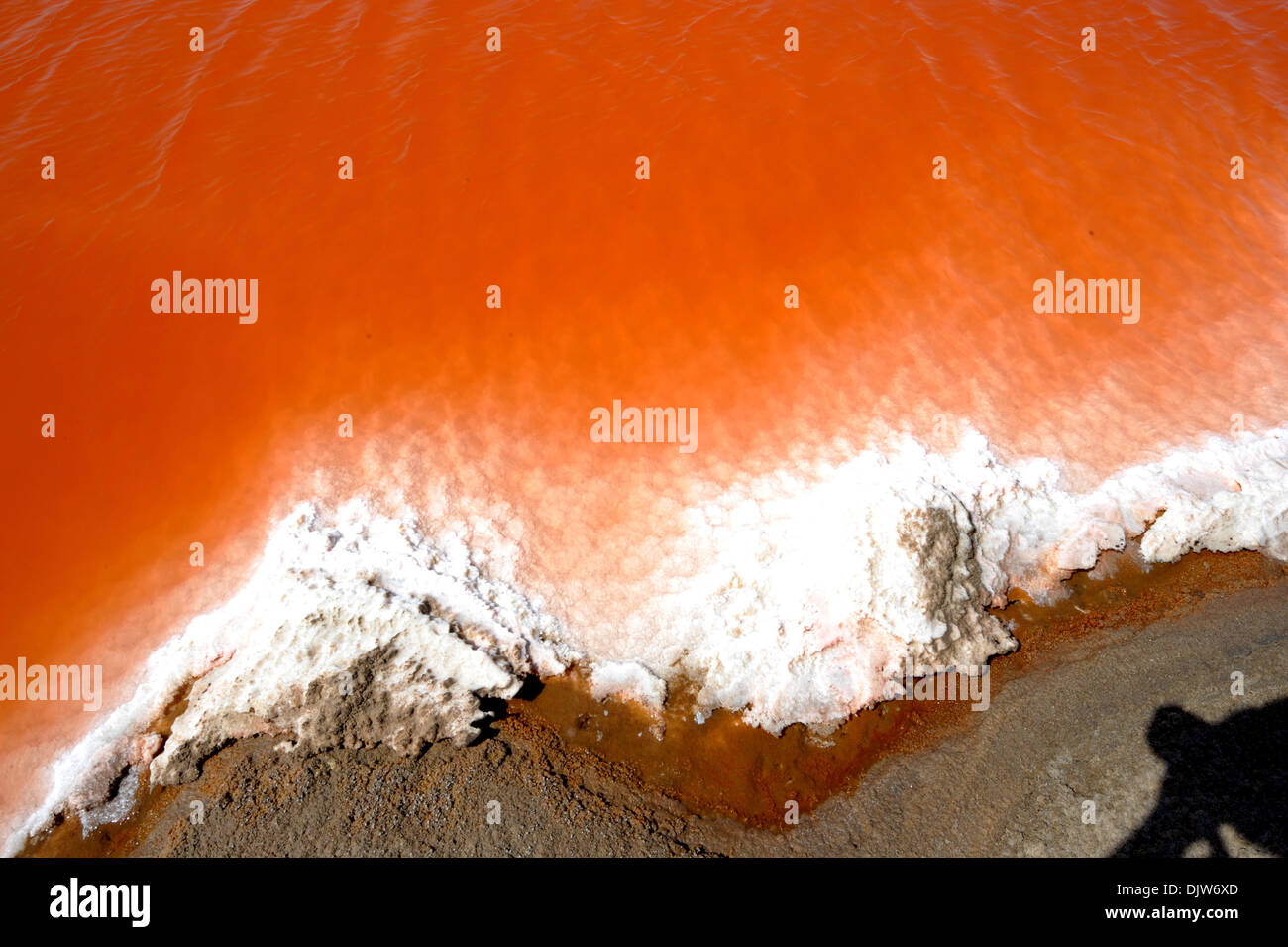 Salt is produced at a salt field near Walvis Bay, Namibia, 29 March ...