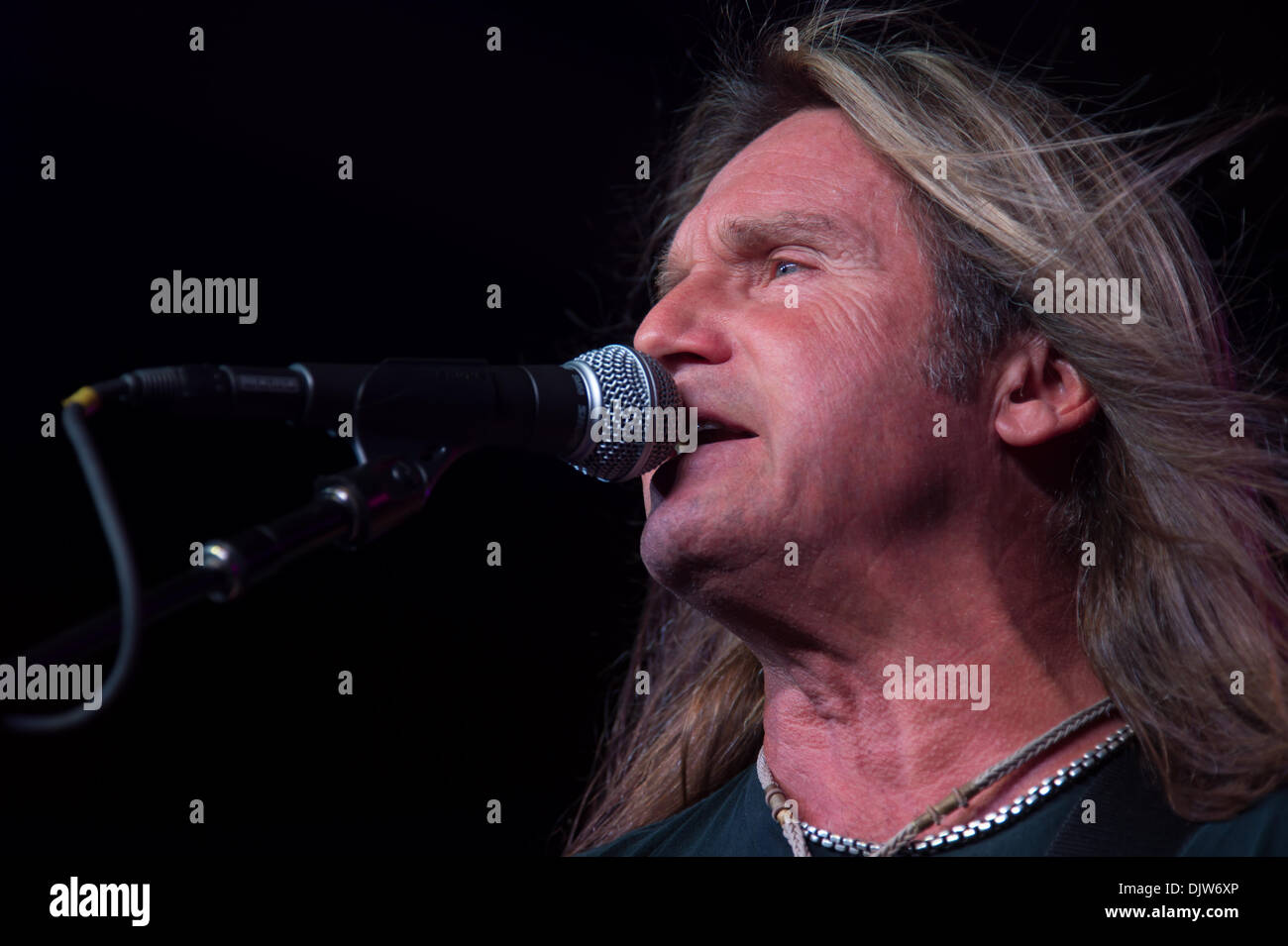 Huhn hi-res stock photography and images - Alamy