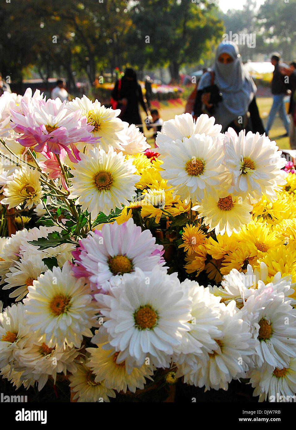 (131130) -- ISLAMABAD, Nov. 30, 2013 (Xinhua) -- People visit a flower ...