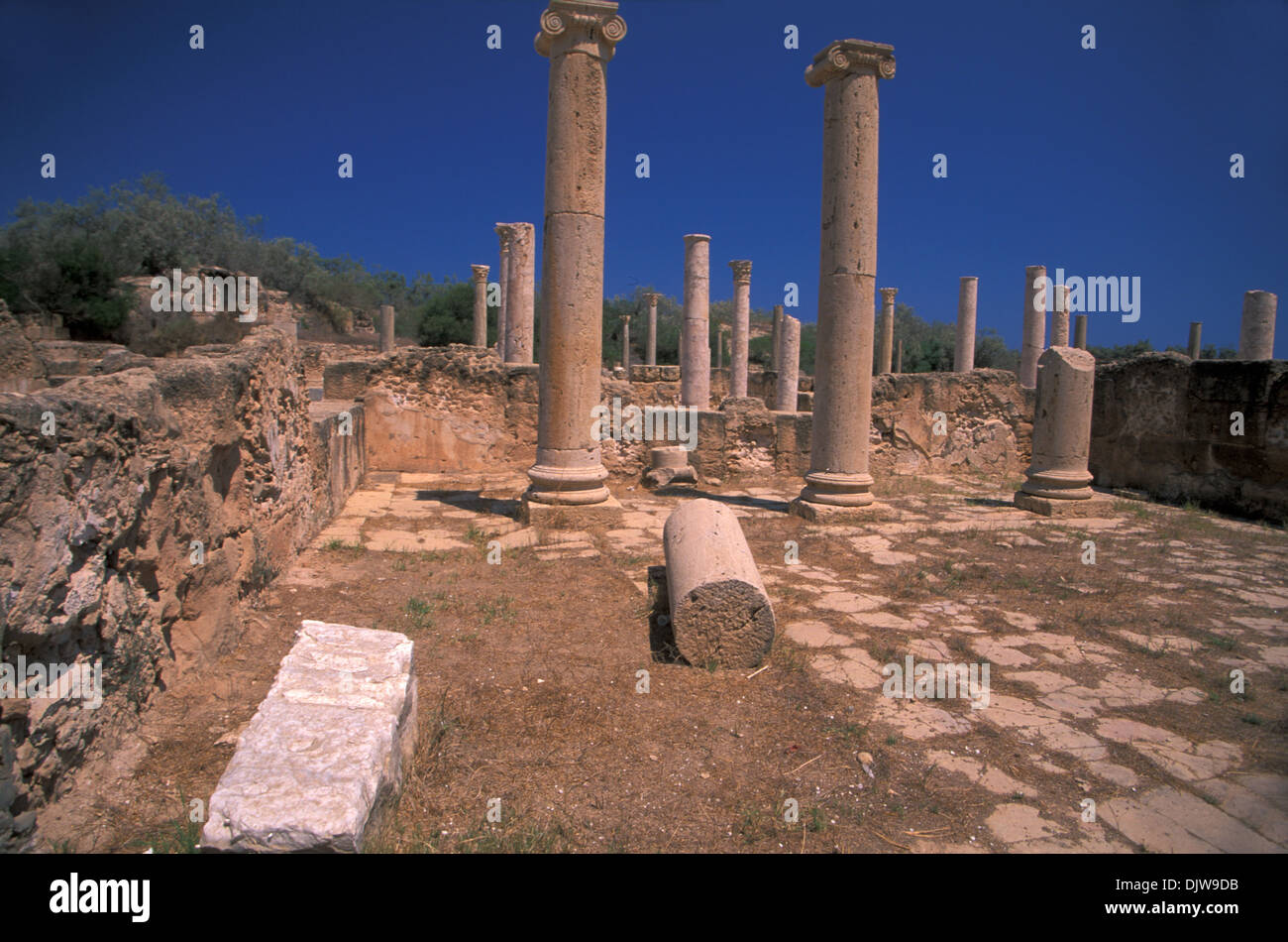 Hadrianic Baths in the roman ruins of Leptis Magna, Libya Stock Photo ...