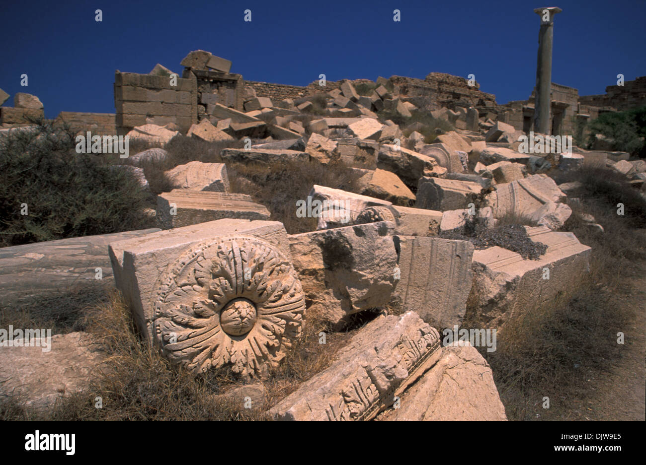 Roman ruins of Leptis Magna, Libya Stock Photo - Alamy