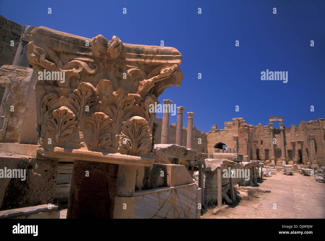 Severan Basilica, Leptis Magna, Libya Stock Photo - Alamy