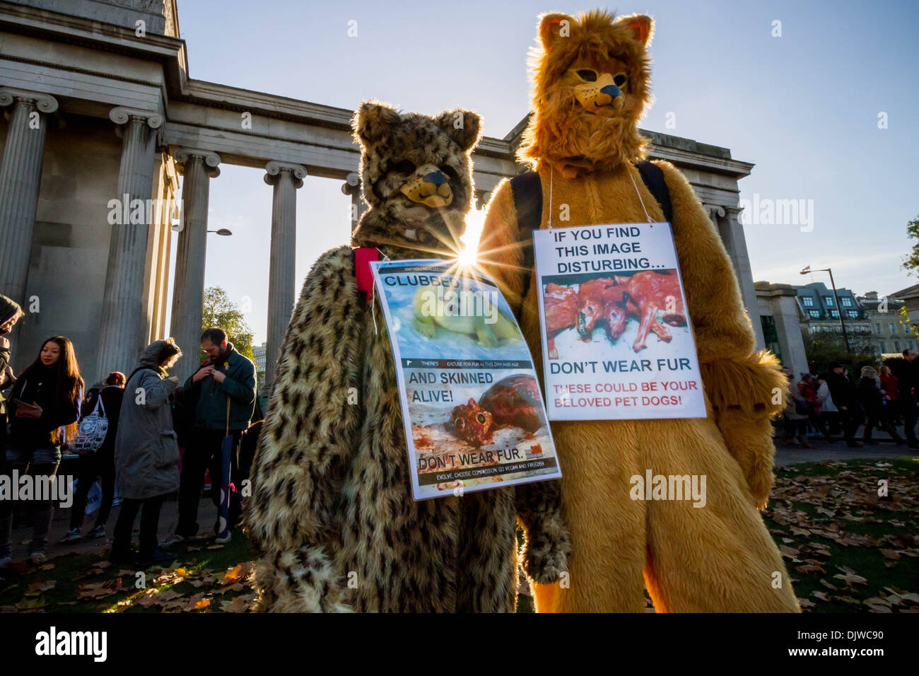 Peta protest against animal hi-res stock photography and images - Alamy