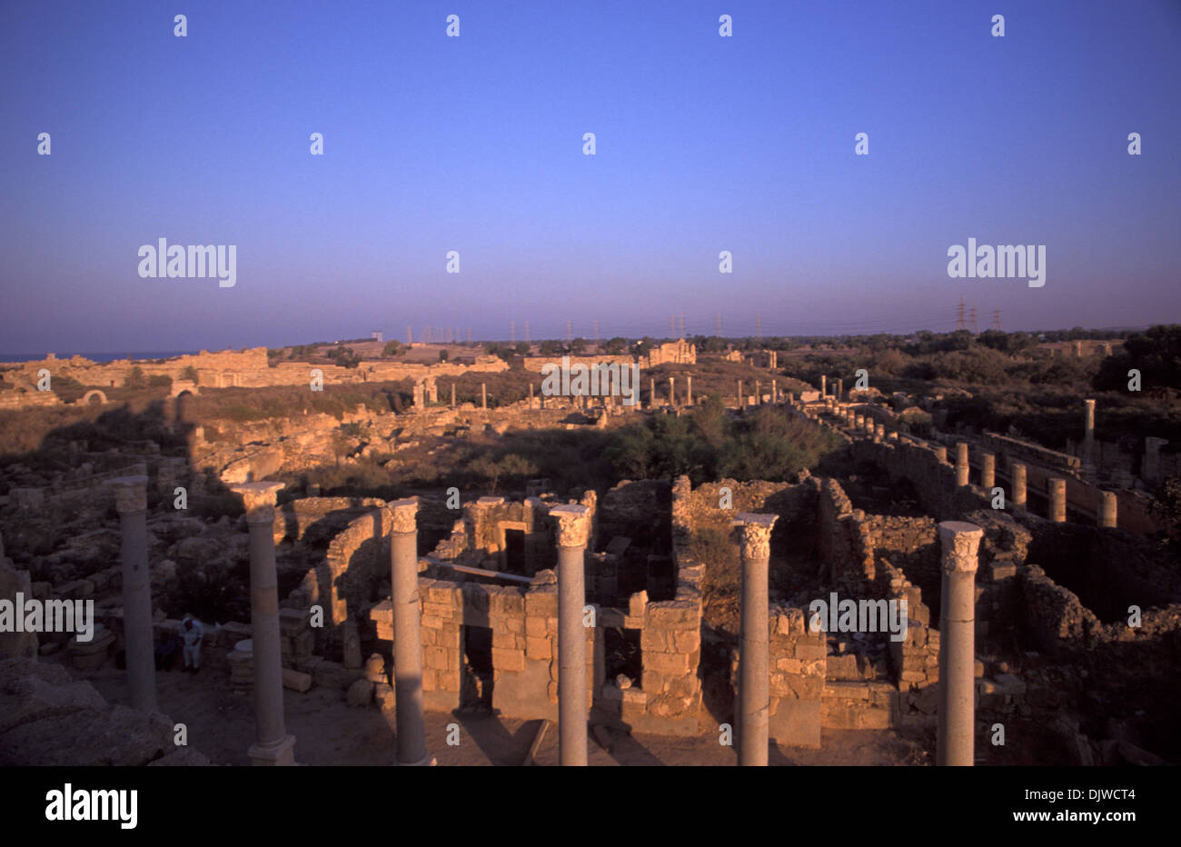 Leptis magna arabic hi-res stock photography and images - Alamy