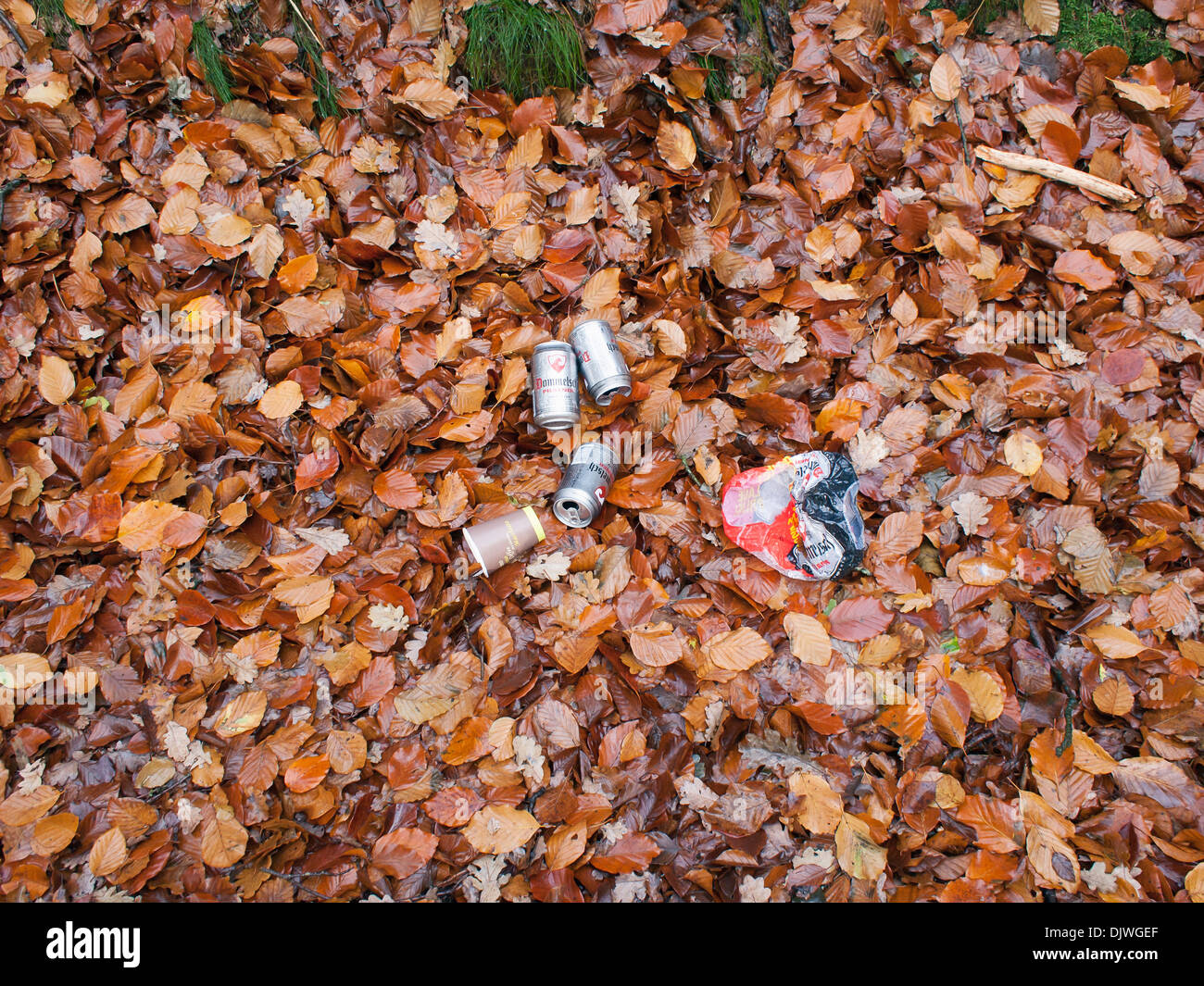 aluminum trash cans in nature Stock Photo - Alamy