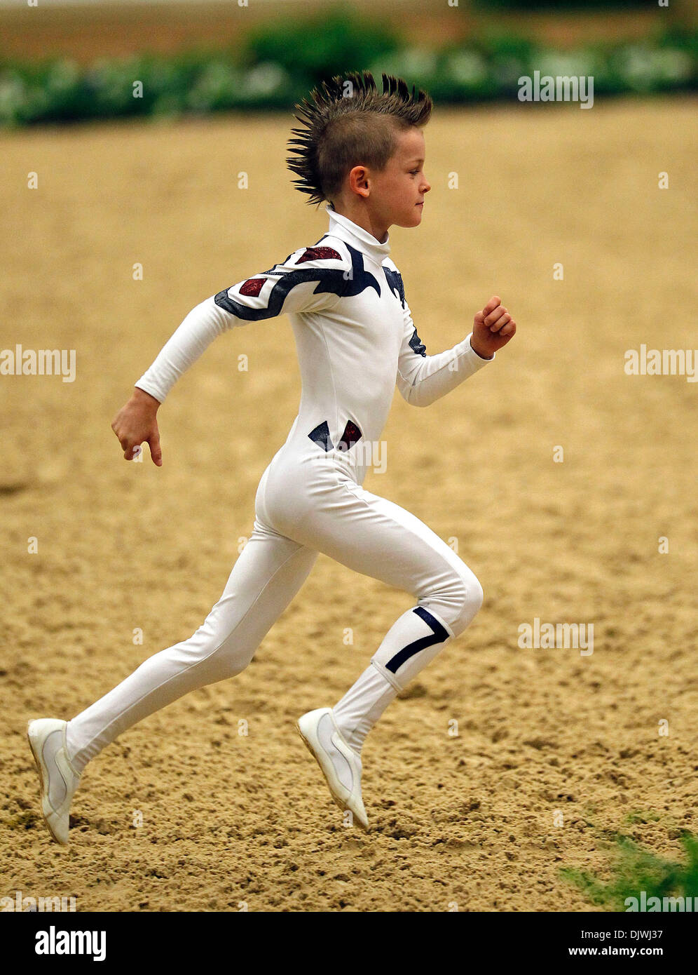 6 year old horse hi-res stock photography and images - Alamy