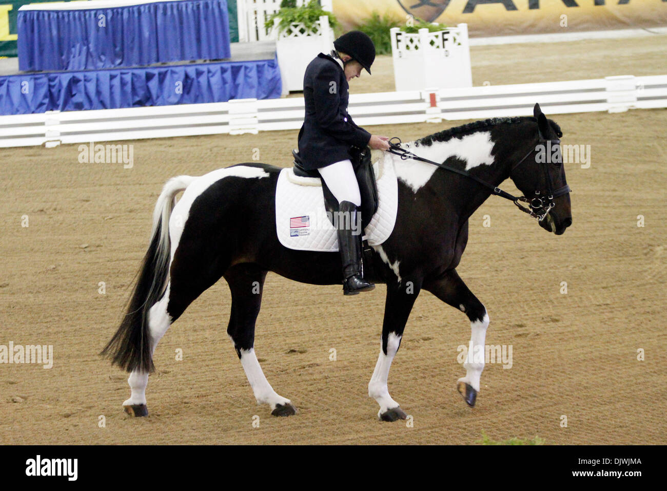 Para equestrian hi-res stock photography and images - Alamy