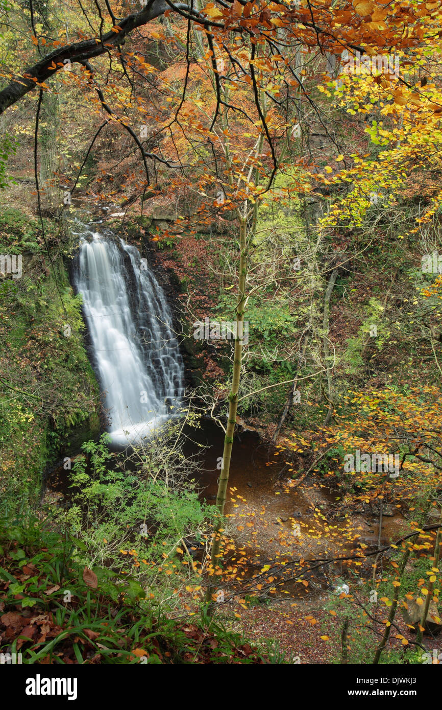 Sneaton forest falling foss waterfall hi-res stock photography and ...