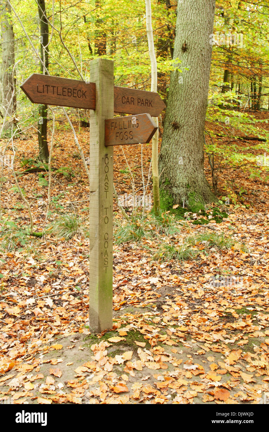 Coast to Coast long distance footpath direction sign close to Falling ...