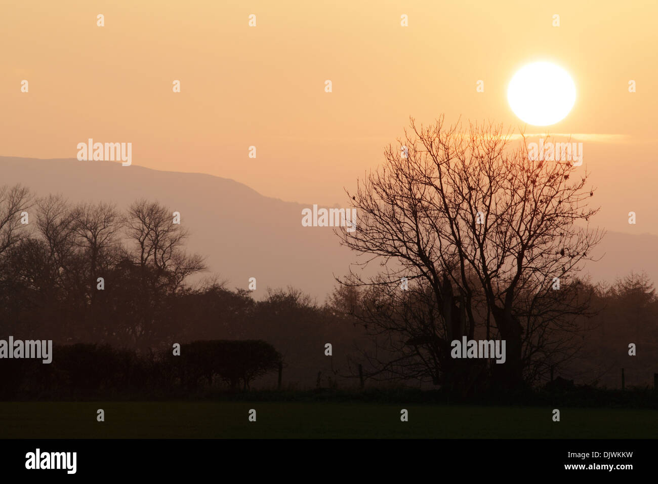 Mellow hi-res stock photography and images - Alamy