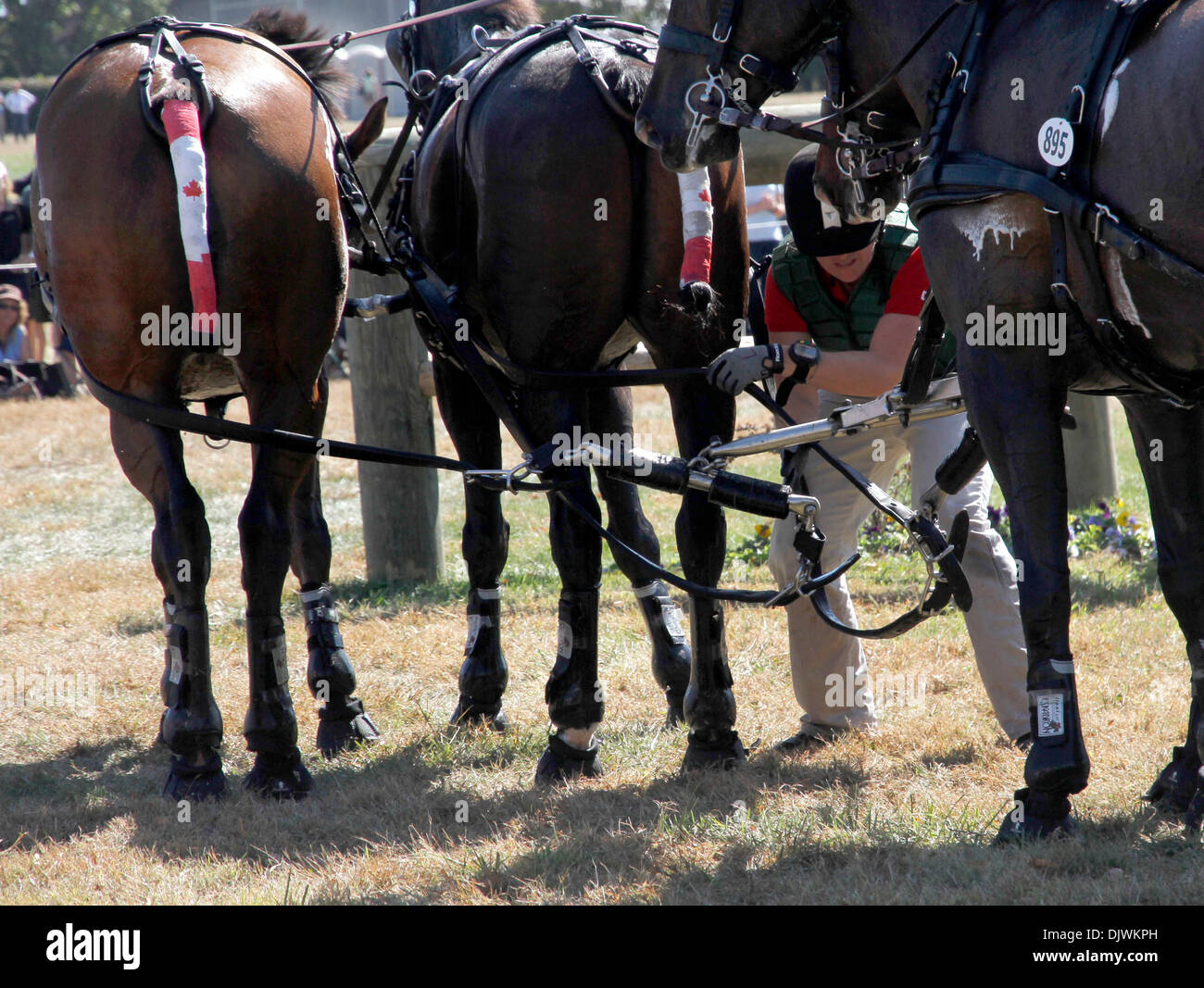 Laderoute hi-res stock photography and images - Alamy