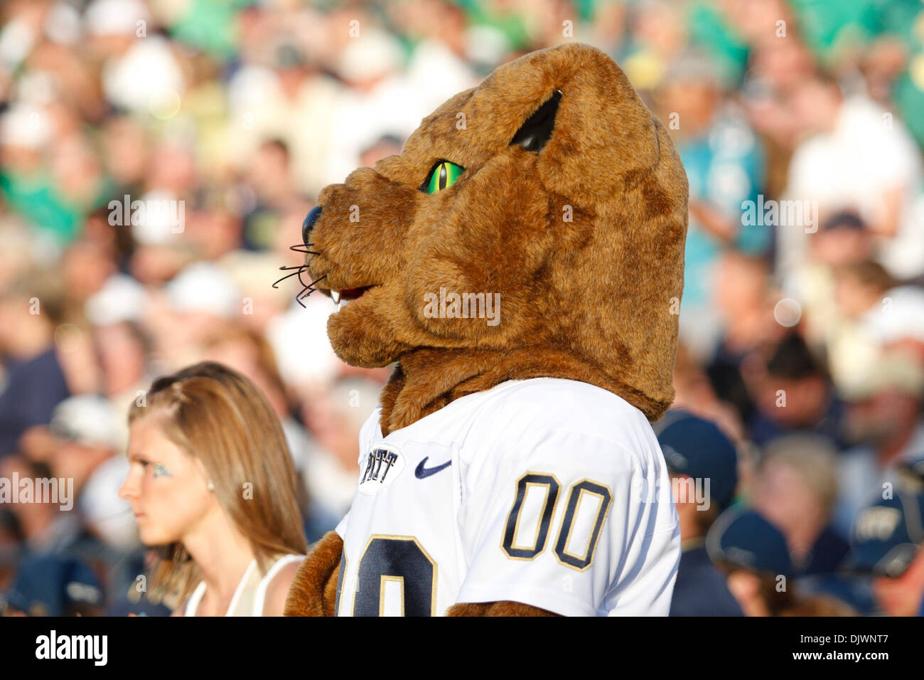 Oct. 9, 2010 - South Bend, Indiana, United States of America ...