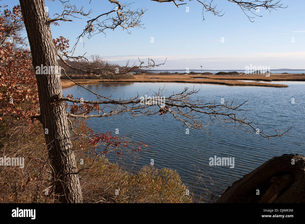 Mashomack park hi-res stock photography and images - Alamy