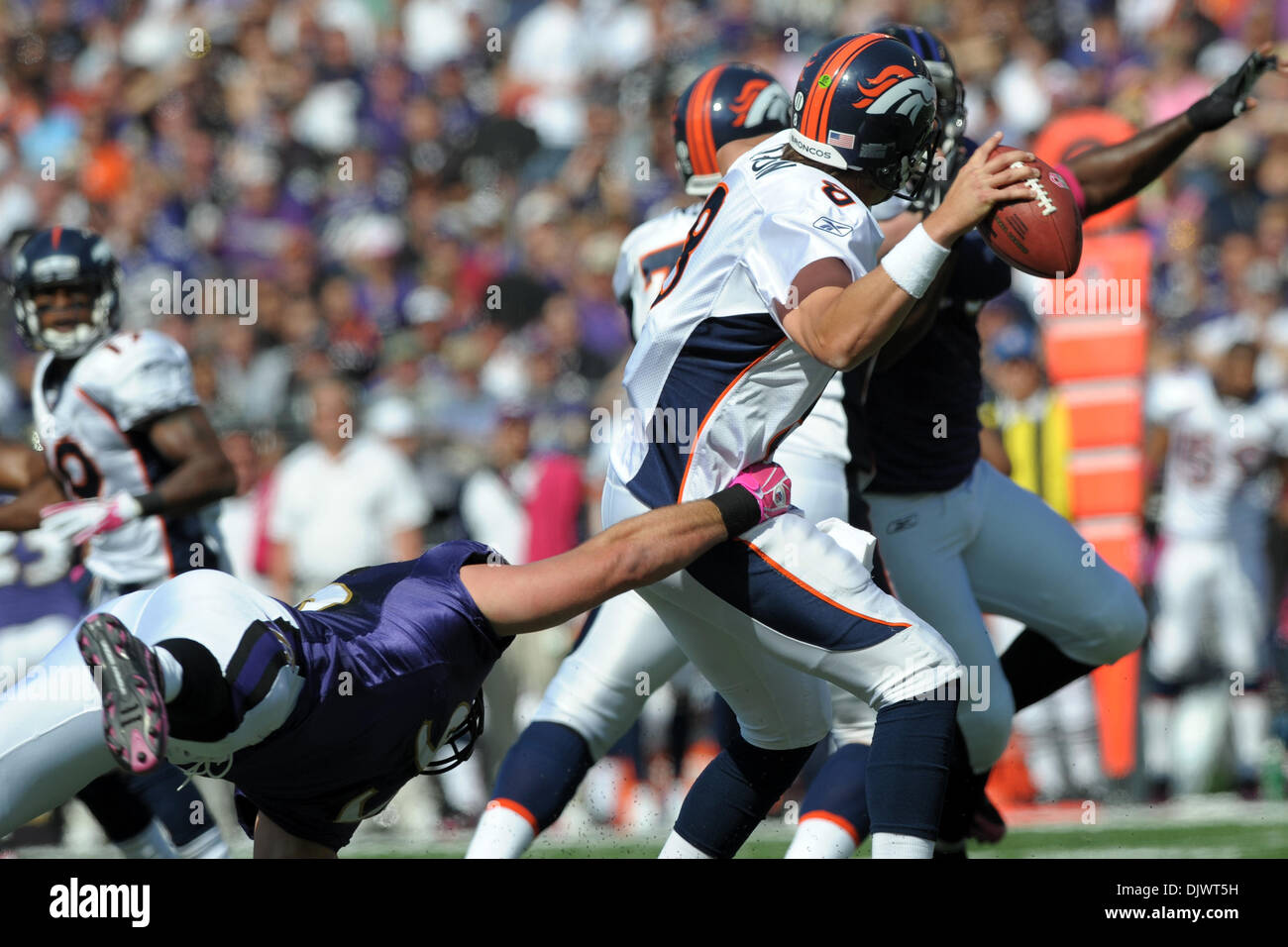 Baltimore ravens linebacker johnson 95 hi-res stock photography and ...