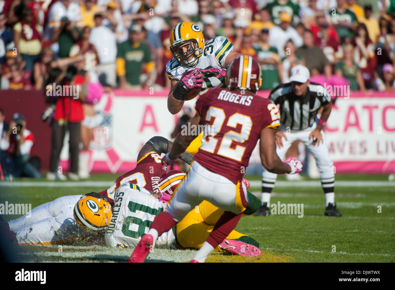 Quarless hi-res stock photography and images - Alamy