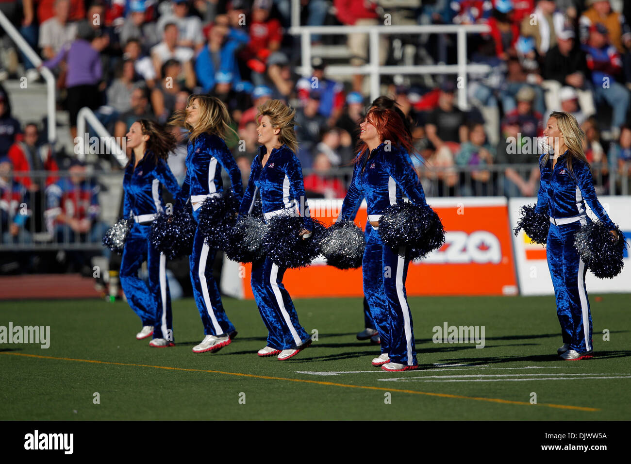 Cfl Cheerleaders High Resolution Stock Photography and Images - Alamy
