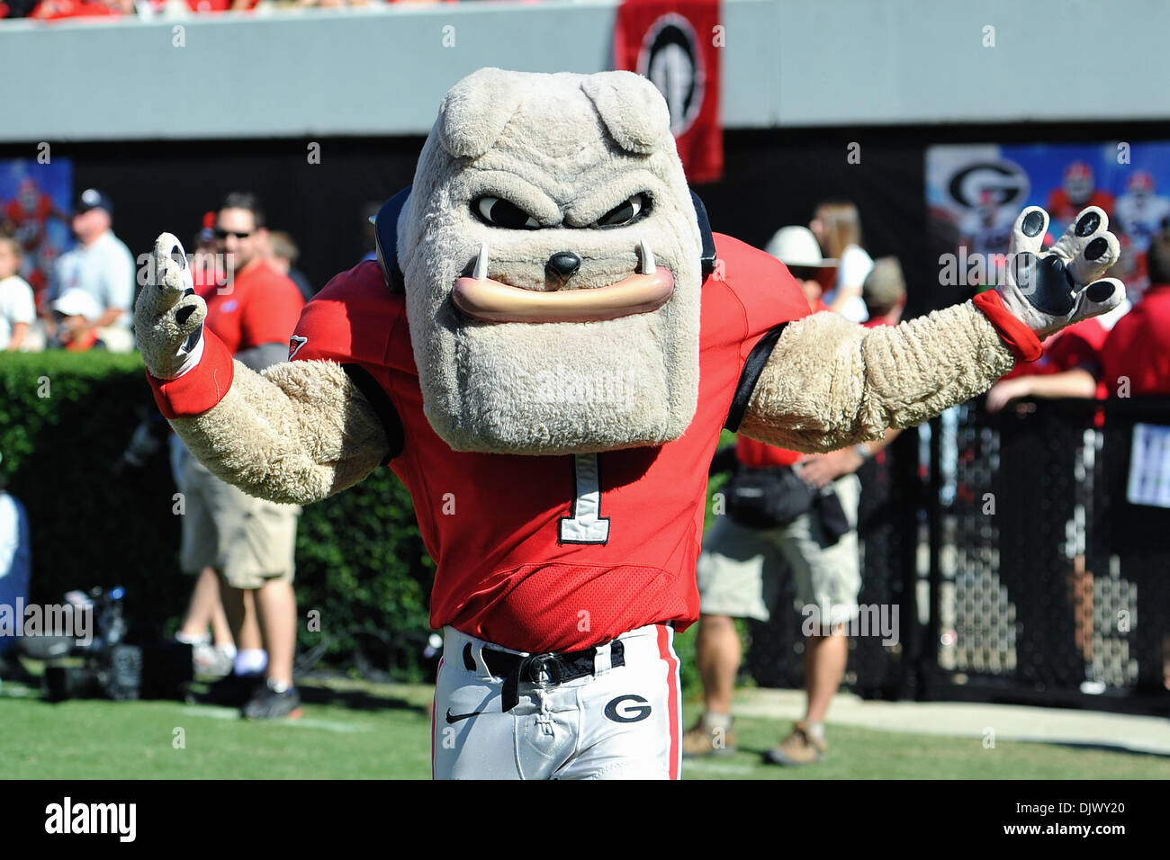 University of georgia mascot hi-res stock photography and images - Alamy