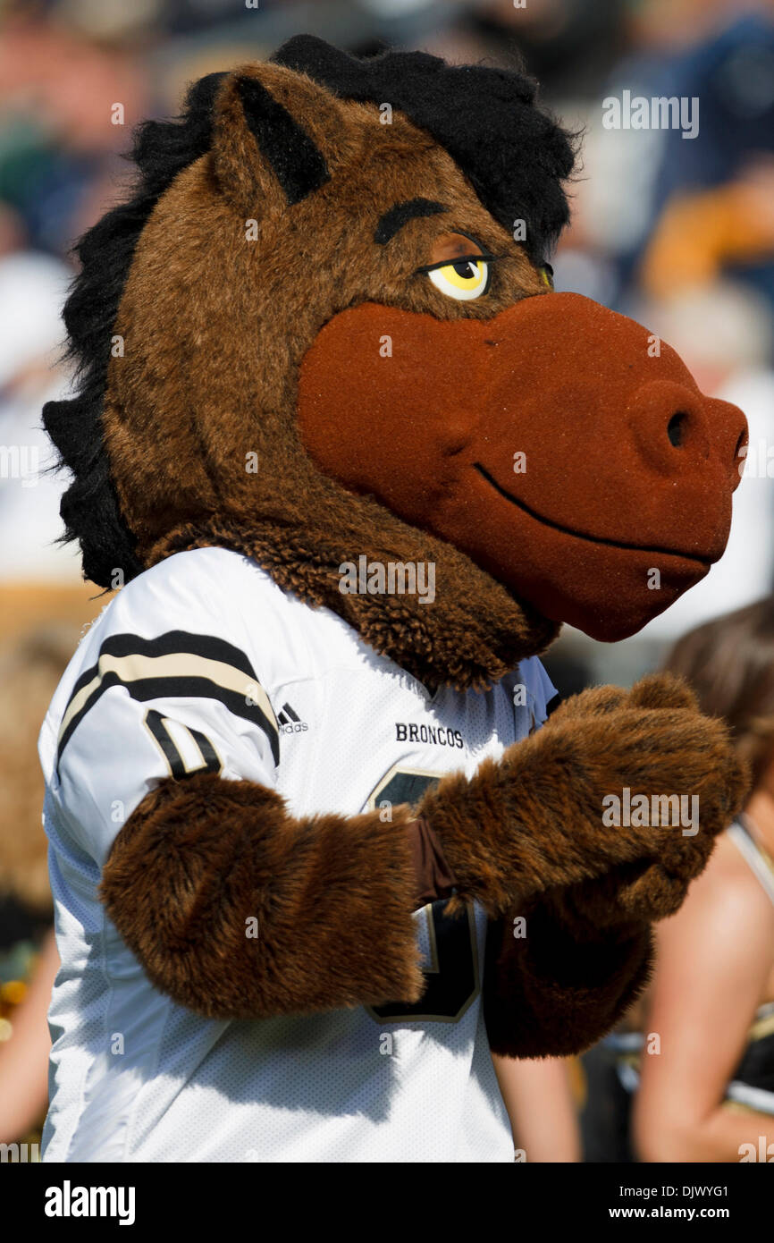 University of michigan mascot hi-res stock photography and images - Alamy