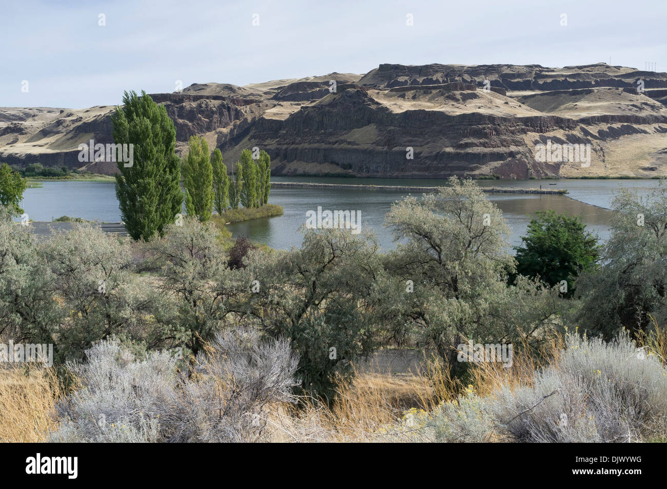 Confluence of the Palouse and Snake Rivers on the border of Franklin ...