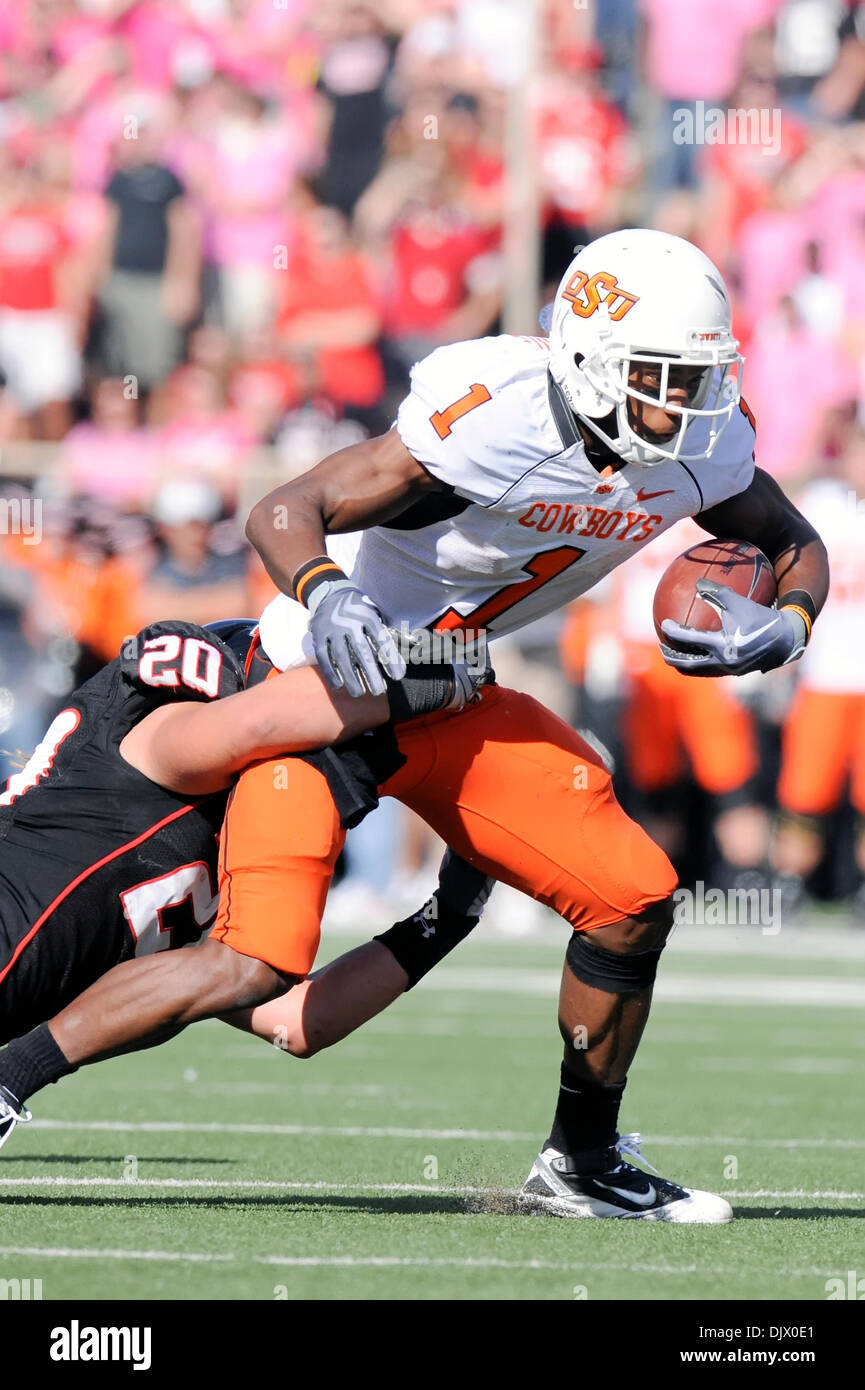 Oklahoma state bird hi-res stock photography and images - Alamy