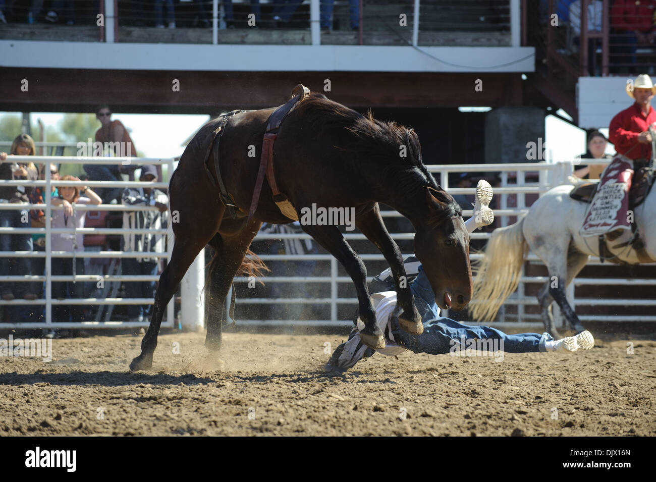 Angola prison rodeo hi-res stock photography and images - Alamy