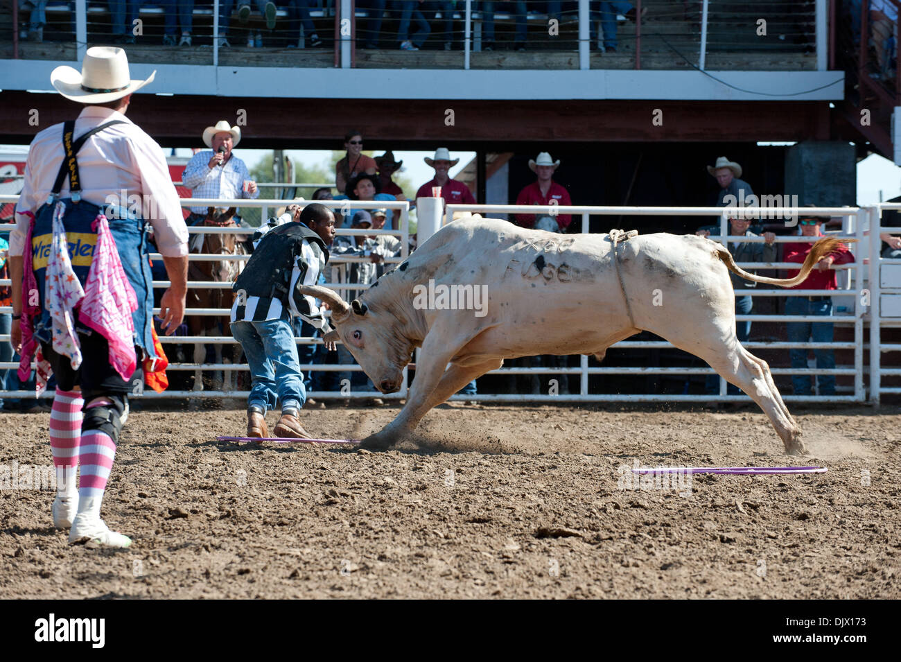 Angola prison rodeo hi-res stock photography and images - Alamy