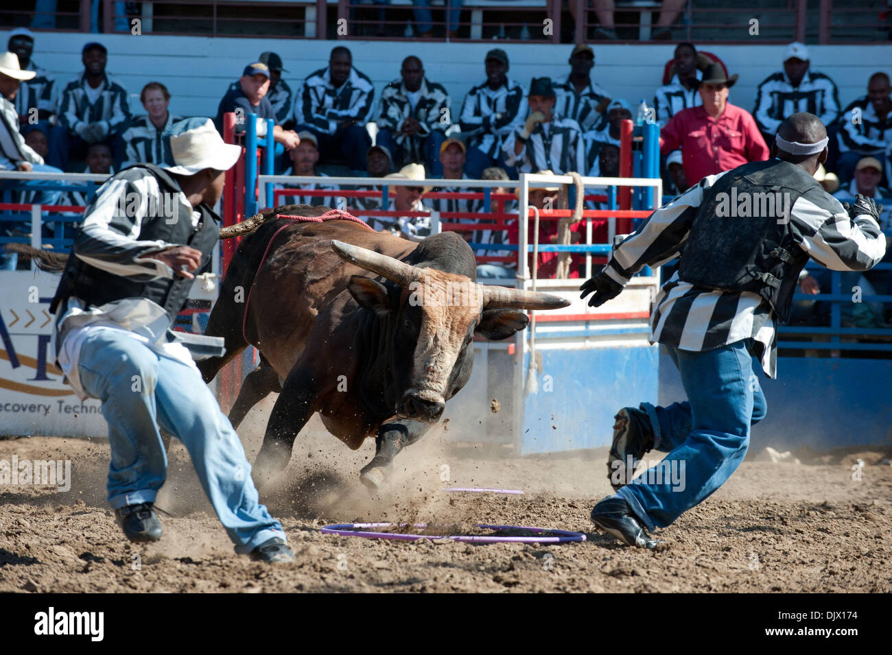 Angola prison rodeo hi-res stock photography and images - Alamy