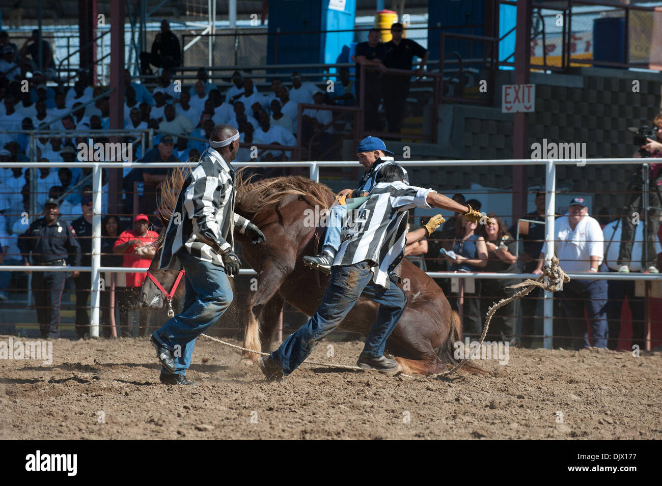 Angola prison rodeo hi-res stock photography and images - Alamy