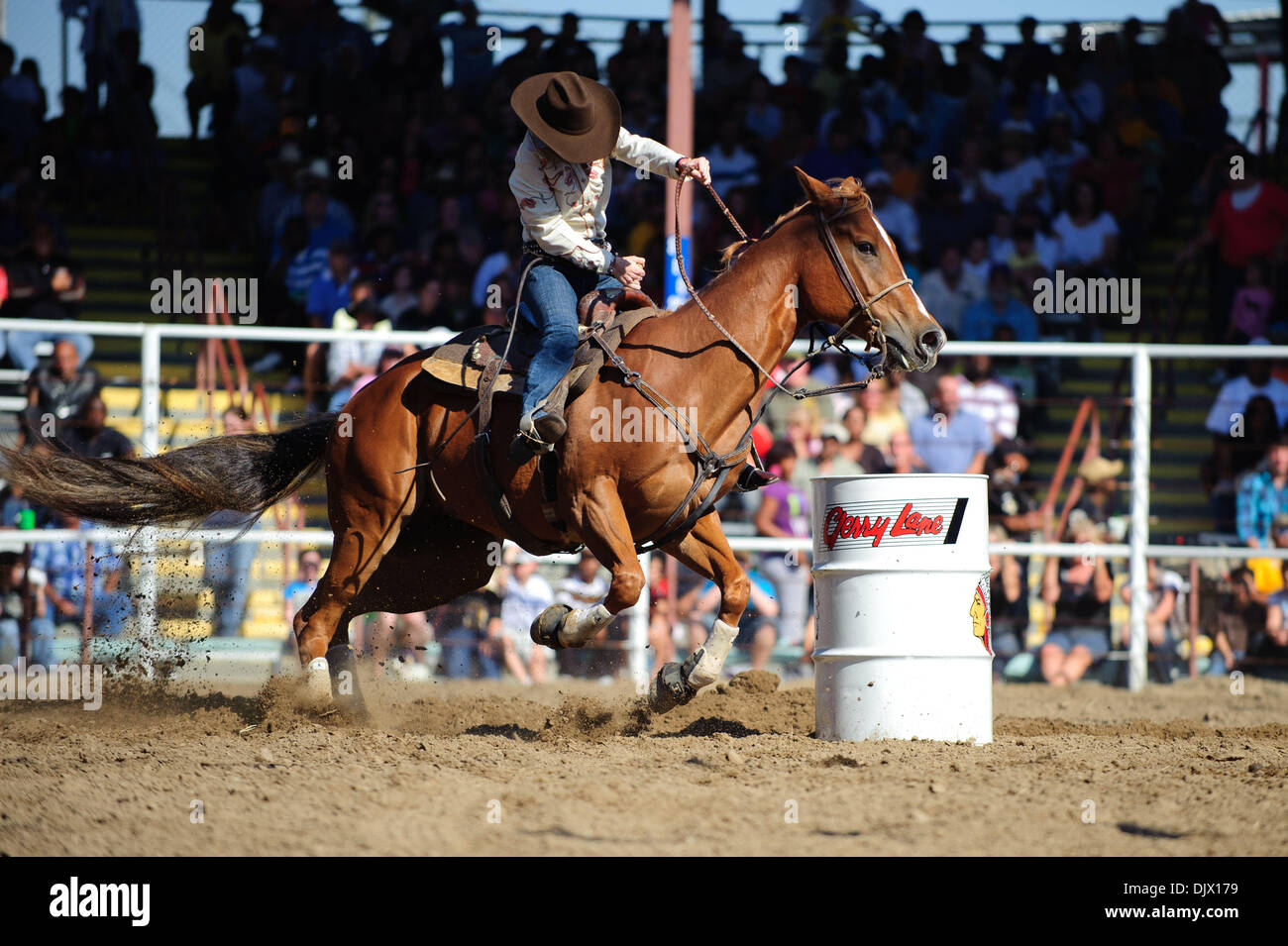 Angola prison rodeo hi-res stock photography and images - Alamy