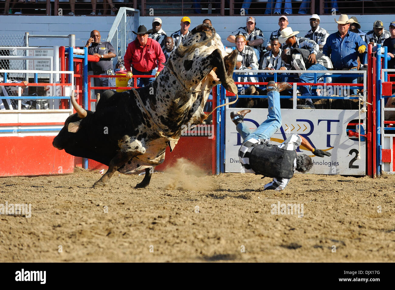 Oct 17, 2010 - Angola, Louisiana, U.S. - Convicts compete in the bull ...