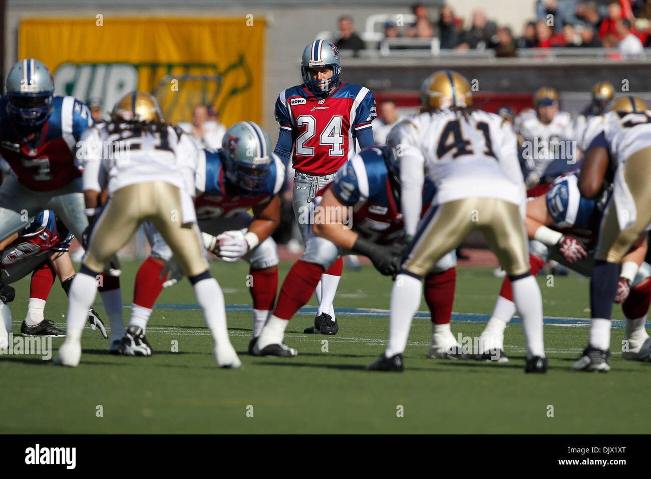 Colt canada hi-res stock photography and images - Alamy