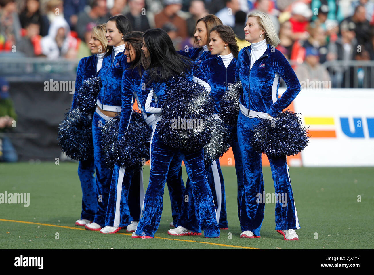 Cfl cheerleaders hi-res stock photography and images - Alamy
