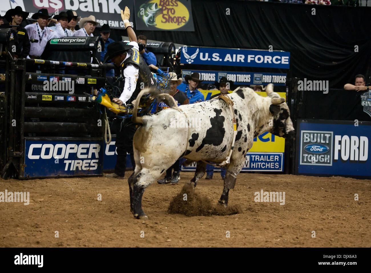 Pbr Bull Voodoo Child