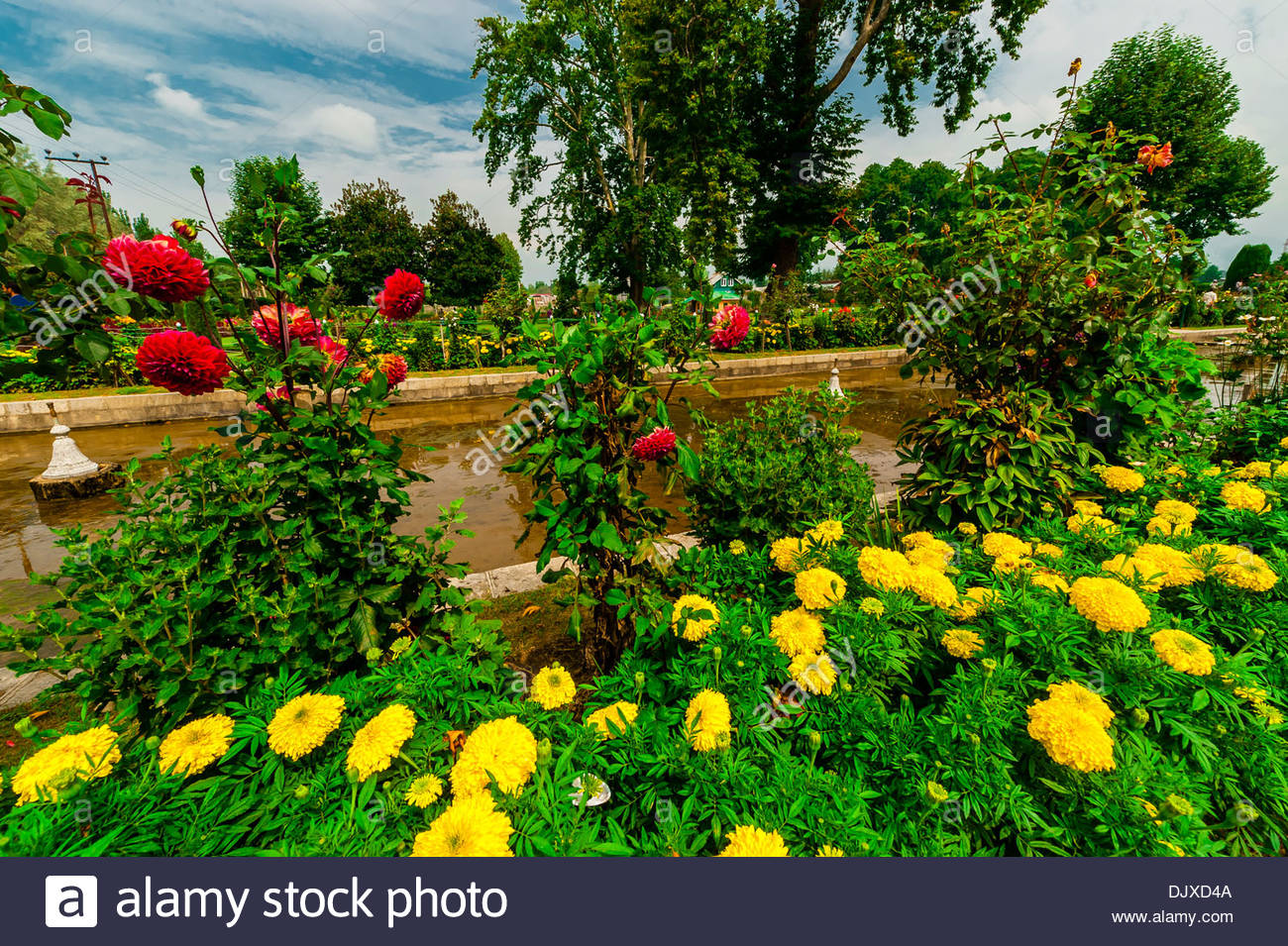 Shalimar Gardens Srinagar Stock Photos & Shalimar Gardens Srinagar ...