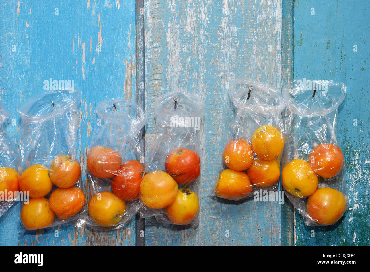 retail sale of tomatoes in a plastic bag hanging on the wooden wall Stock Photo - Alamy
