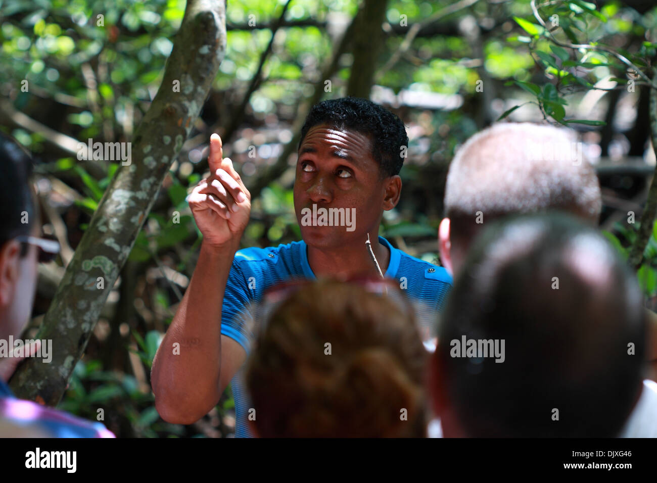 Leandro Jimenez, the tour guide, explains the way mangroves grow in the ...