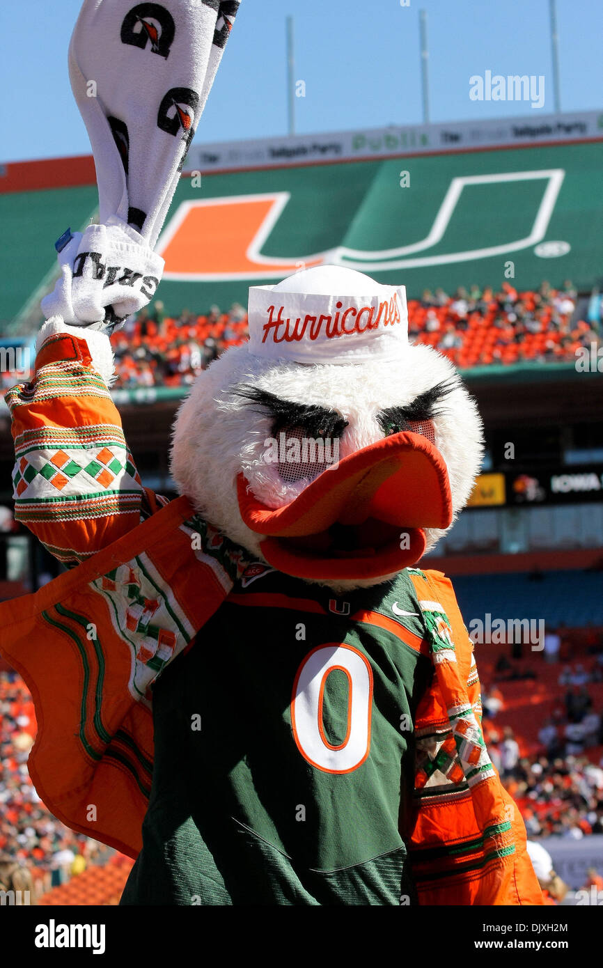 University of miami mascot hi-res stock photography and images - Alamy