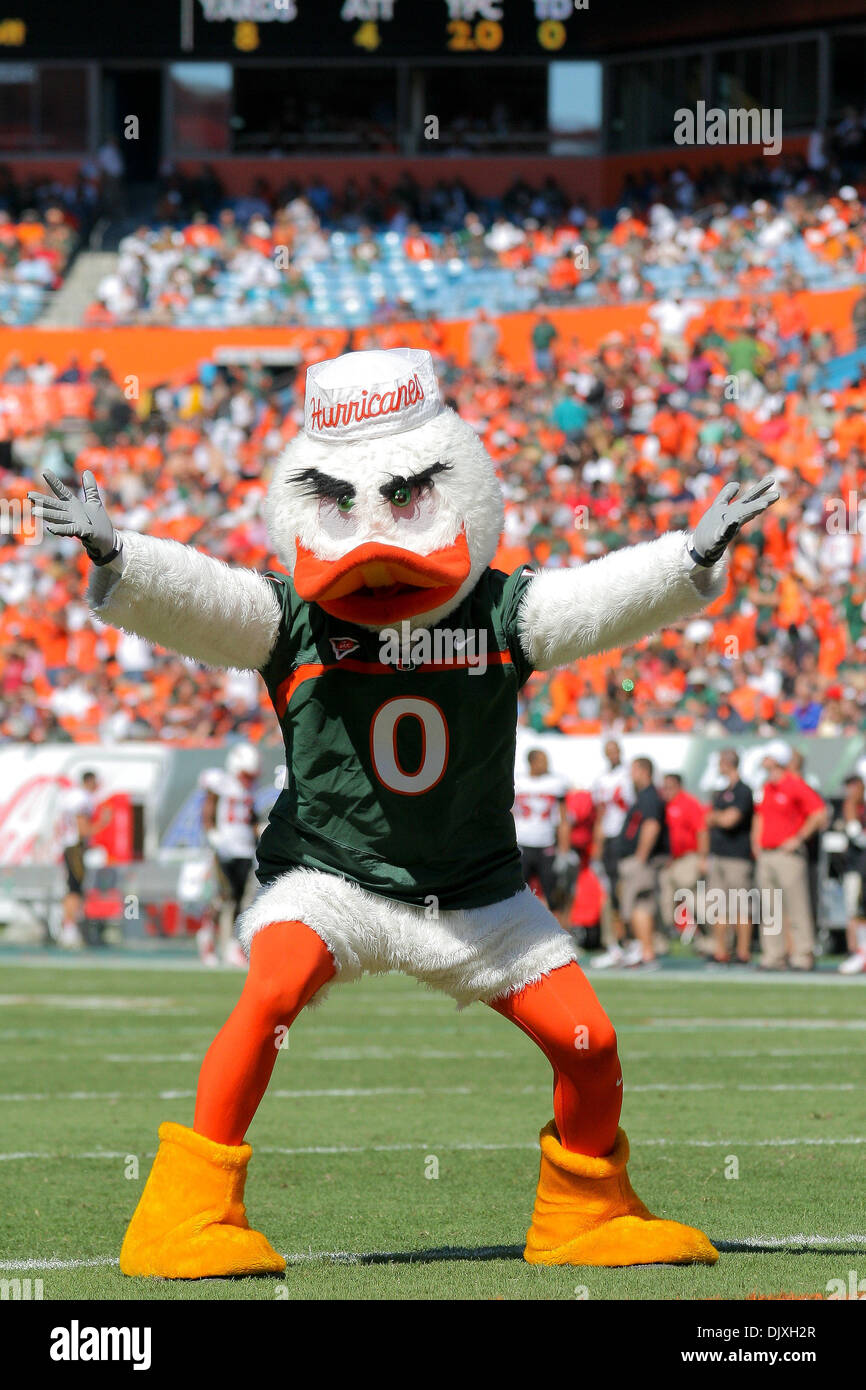 University of miami hurricanes mascot hi-res stock photography and ...