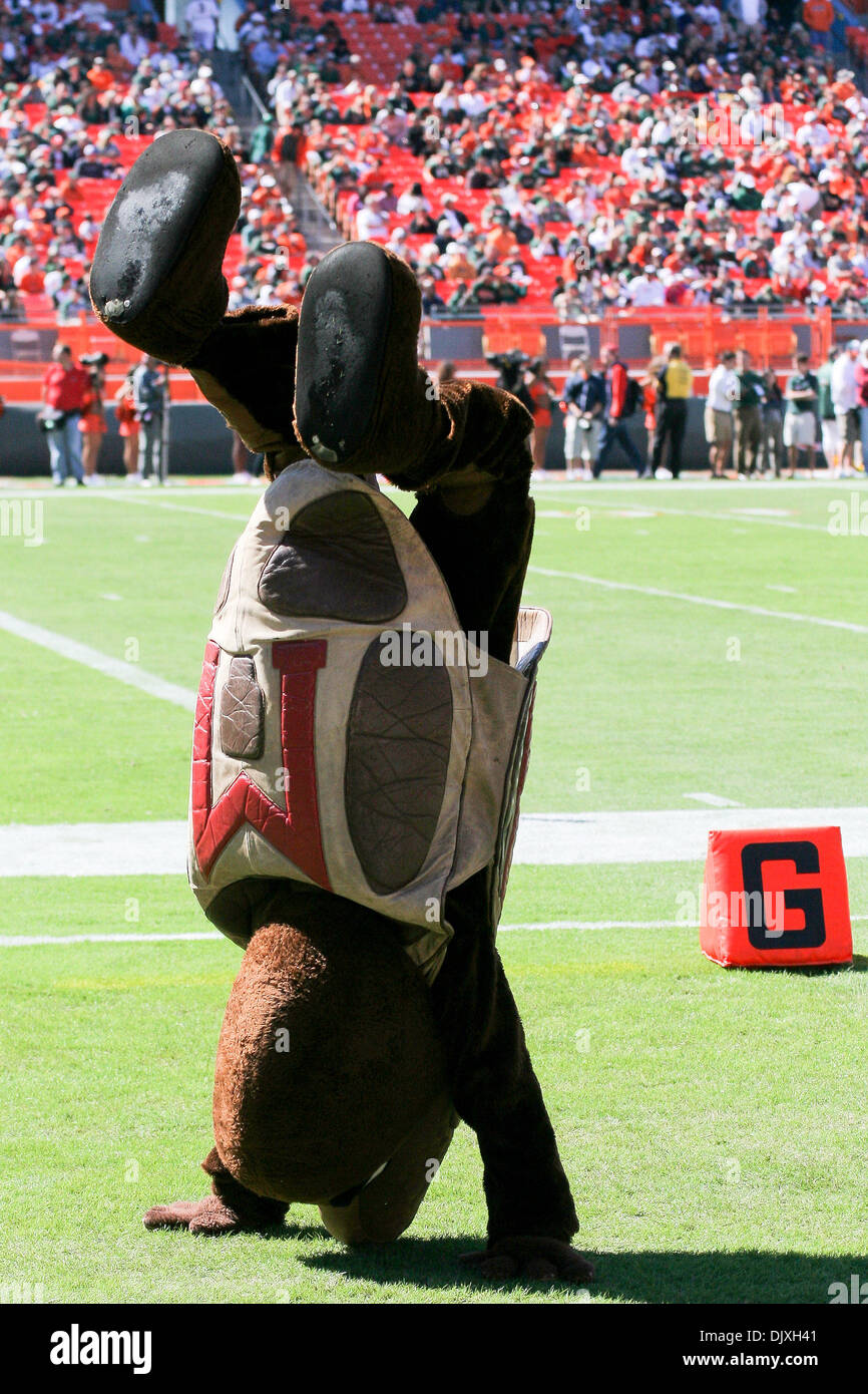 University of maryland mascot hi-res stock photography and images - Alamy