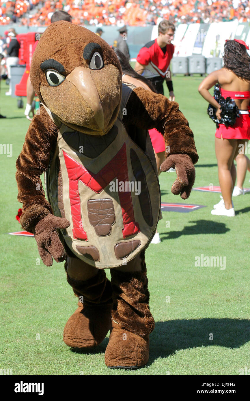 University of miami mascot hi-res stock photography and images - Alamy