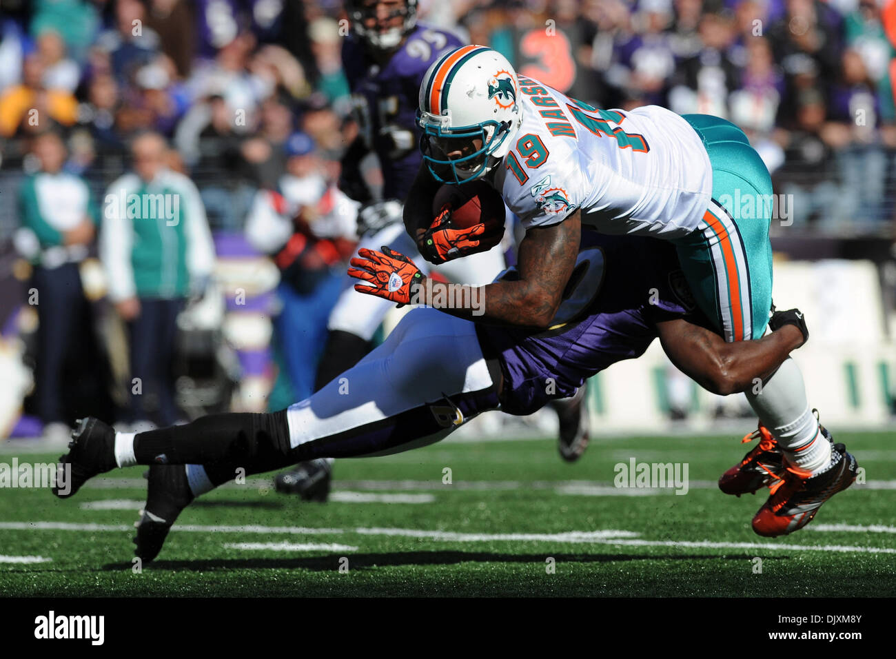 Ed reed, baltimore ravens hi-res stock photography and images - Alamy