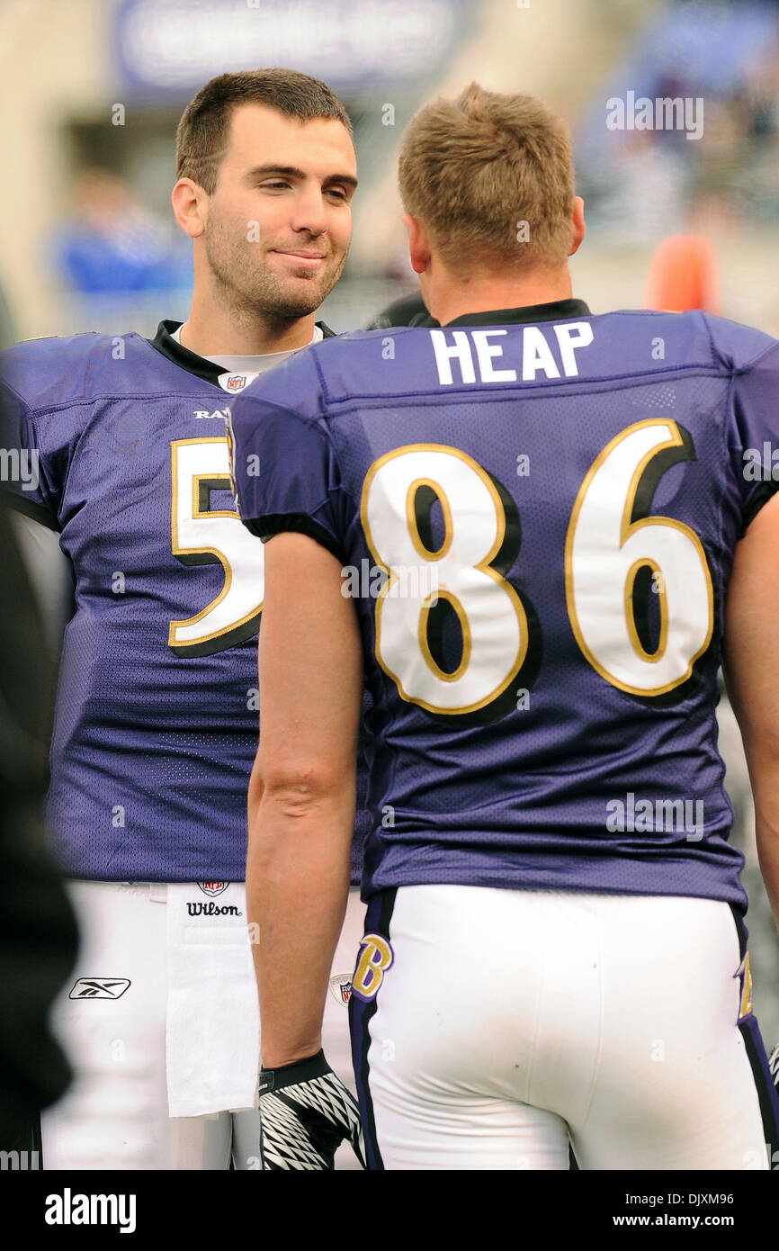 Baltimore ravens todd heap 86 hi-res stock photography and images - Alamy